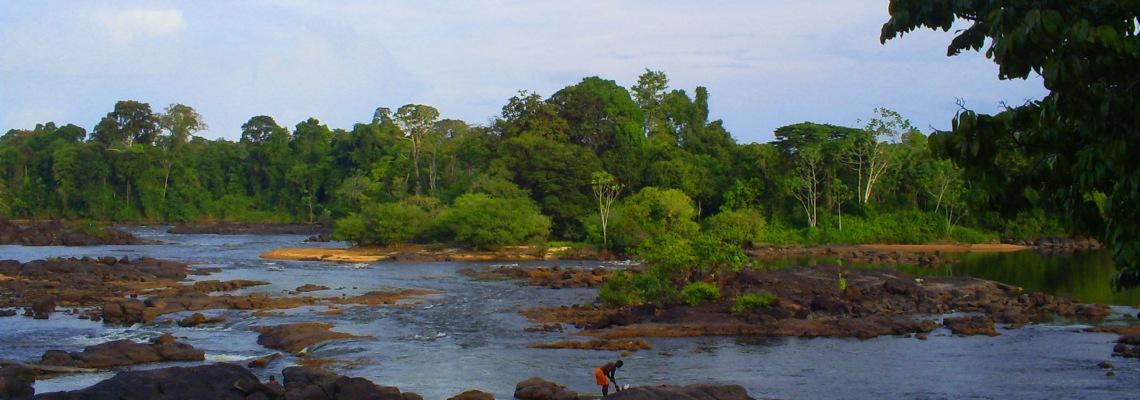 STS MERKT SURINAME MET “EARTH’S GREENEST TREASURE”